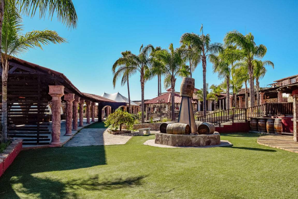 Top 10 year old bike Outlet Children s Bikes Purple children s bike 2 ...